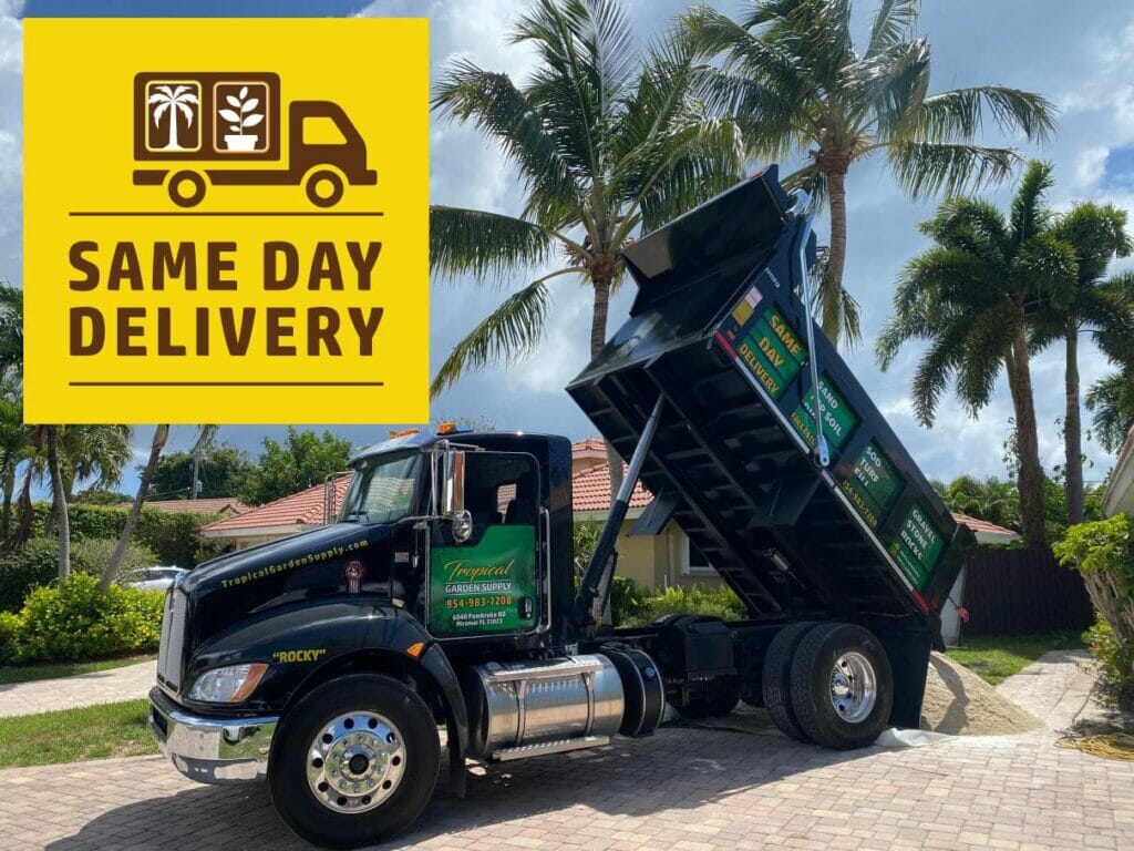 Red Crimson Rock - Tropical Garden Supply - Riz Garden Hollywood, FL
