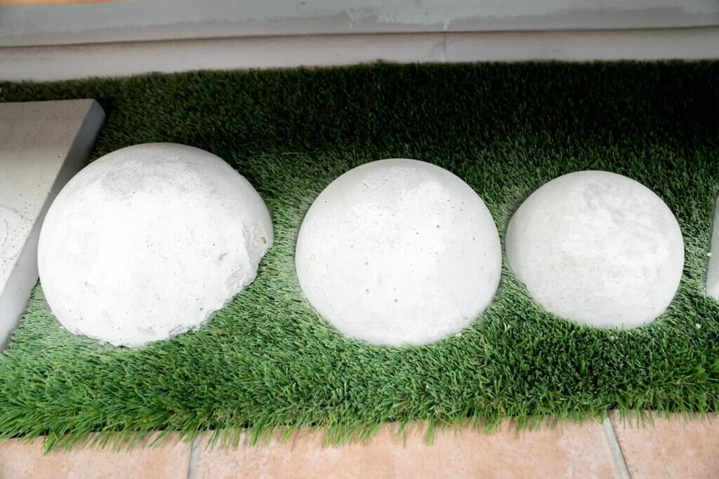 Half Moons - Tropical Garden Supply - Riz Garden Hollywood, FL