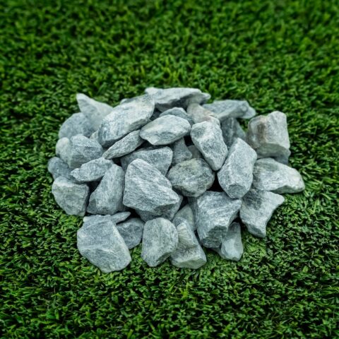 Home - Tropical Garden Supply - Riz Garden Hollywood, FL